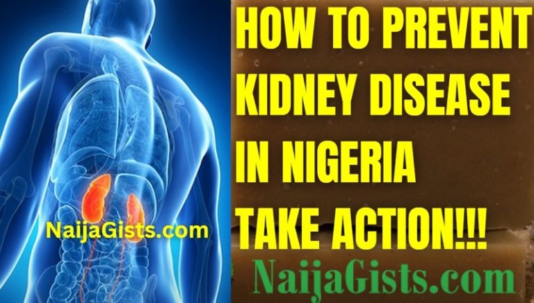 Preventing Kidney Disease In Nigeria: Understanding The Causes And ...